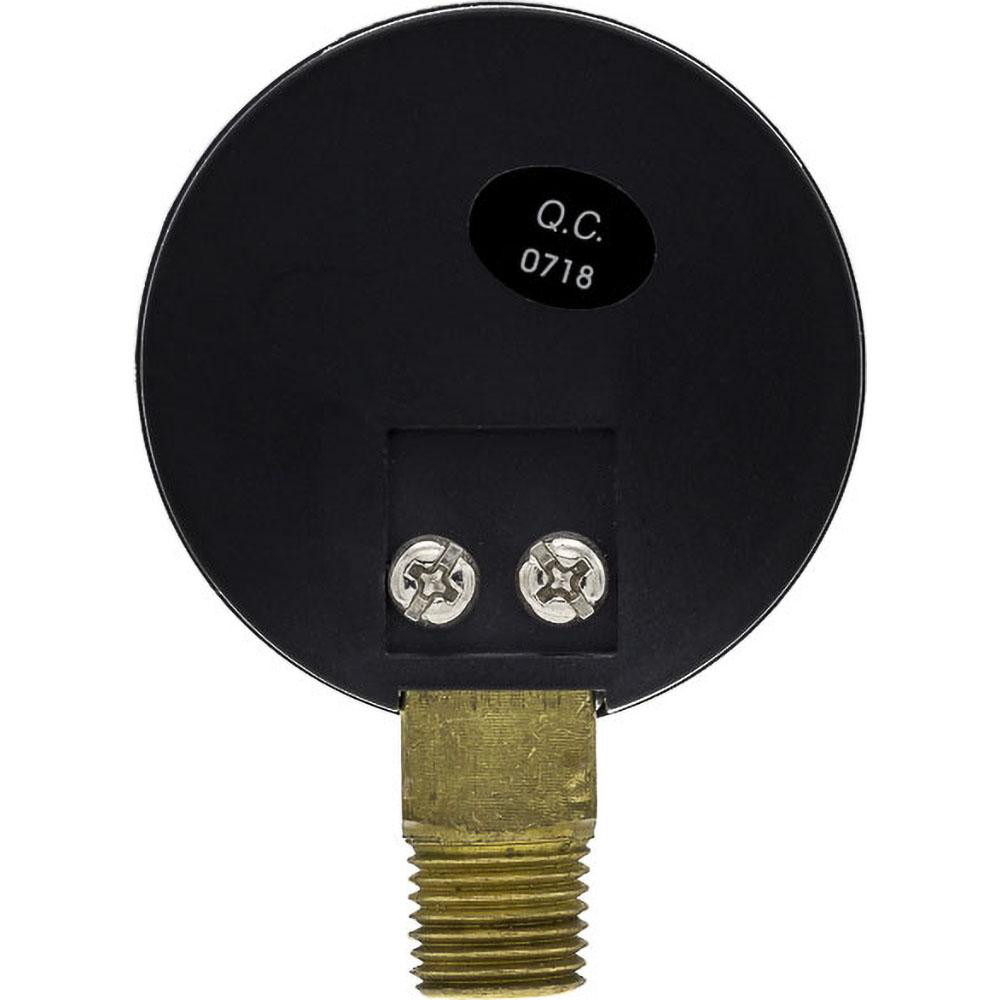 PIC Gauges - Pressure Gauge: 2" Dial Dia, 0 to 200 psi, 1/4" BSPT, Lower Mount | MSC Direct